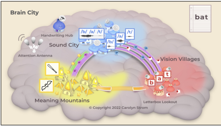 Development of the Alphabetic Principle